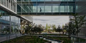 Corporate Ecosystem - Cathay Innovation